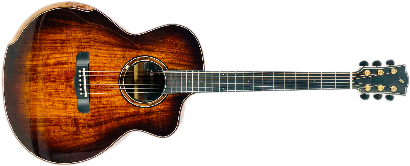 【注文殺到】価格崩壊と話題の新作ギター『Merida / SCAR』開封＆レビュー 【メリダギター】